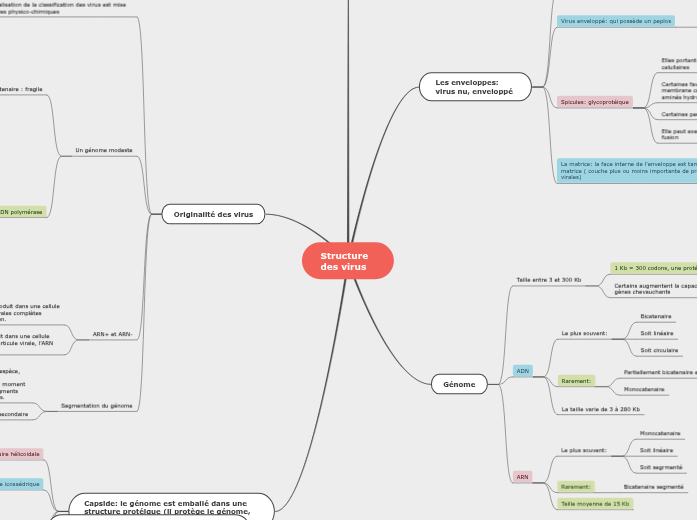 Structure des virus - Mind Map
