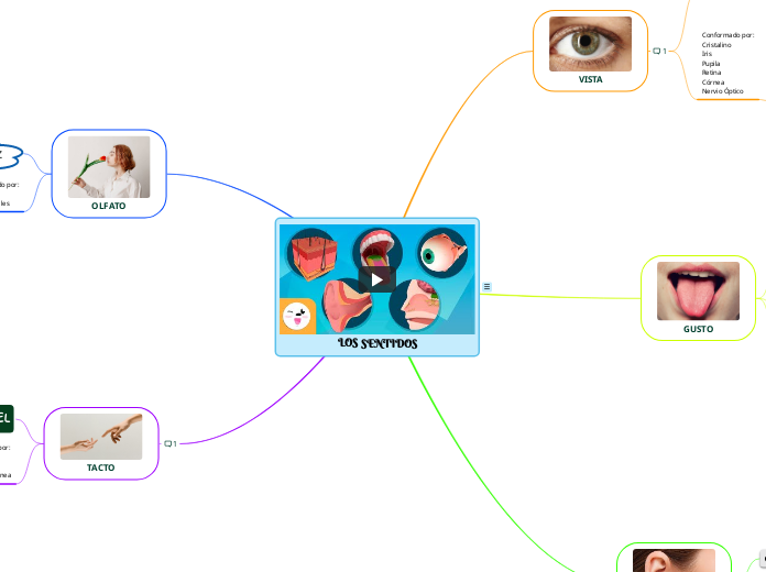 LOS SENTIDOS - Mind Map