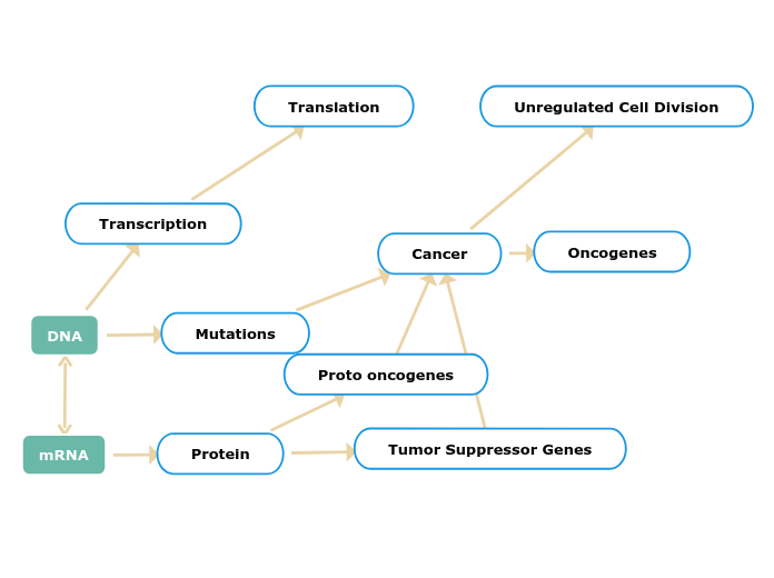 DNA - Mind Map