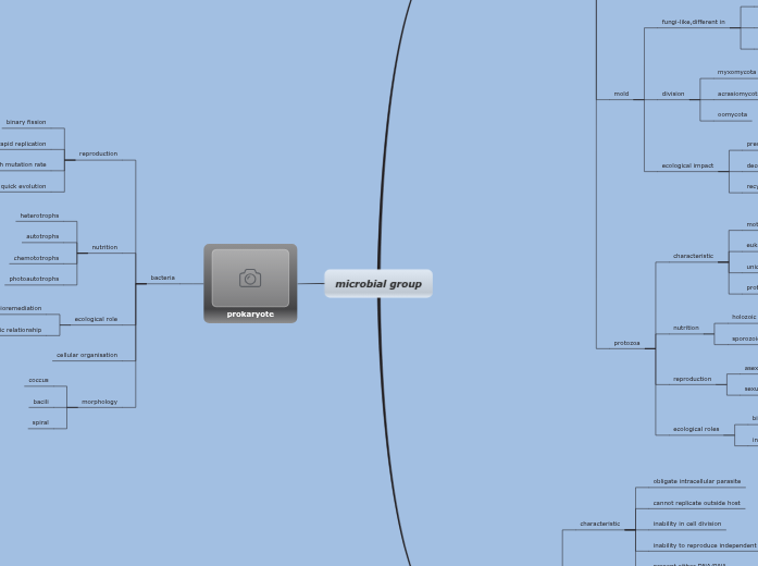 microbial group - Mind Map