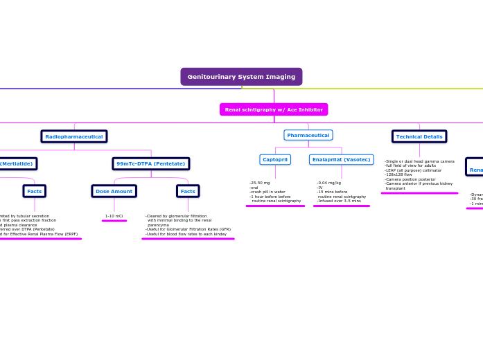 Genitourinary System Imaging - Mind Map