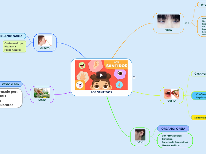 LOS SENTIDOS - Mind Map