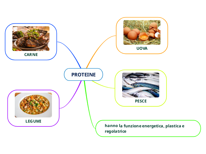 PROTEINE - Mind Map
