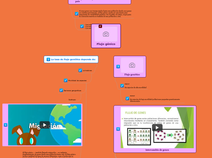 FLUJO GENETICO - Mind Map