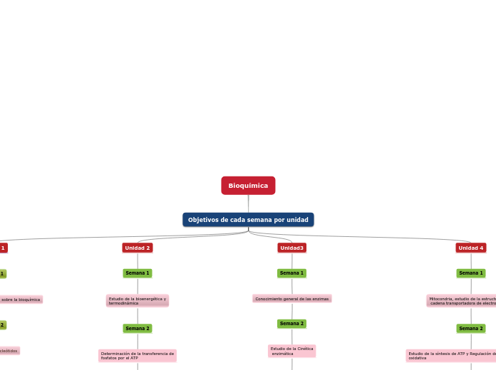 Bioquímica - Mind Map