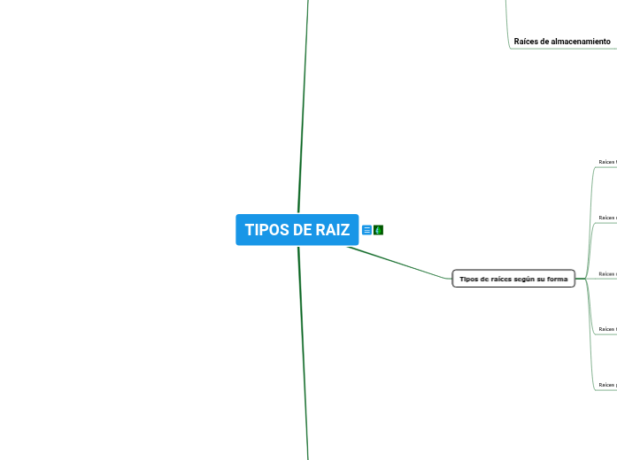 TIPOS DE RAIZ - Mind Map