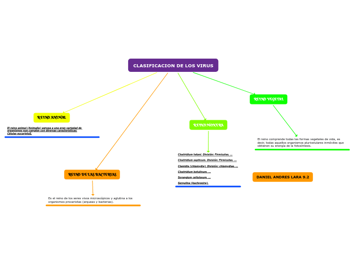 CLASIFICACION DE LOS VIRUS - Mind Map