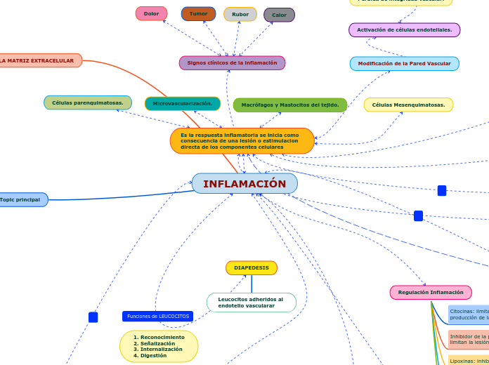 INFLAMACIÓN - Mind Map