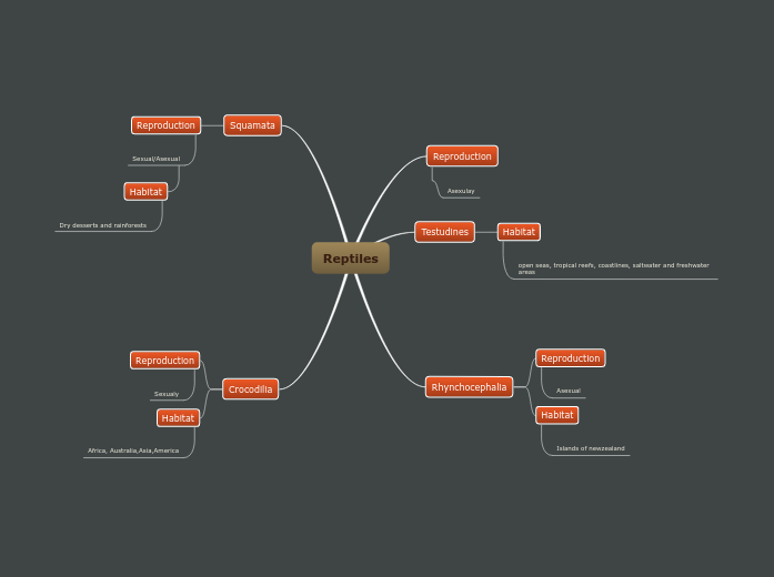 Reptiles - Mind Map