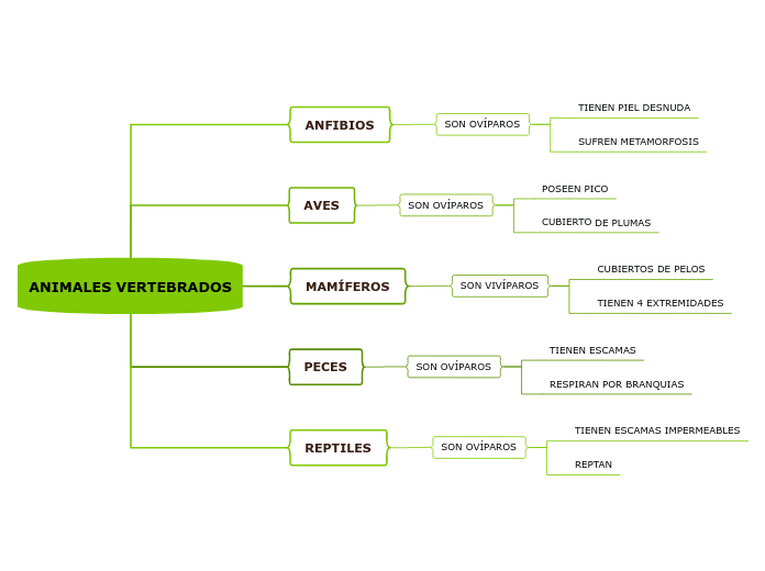 ANIMALES VERTEBRADOS - Mind Map