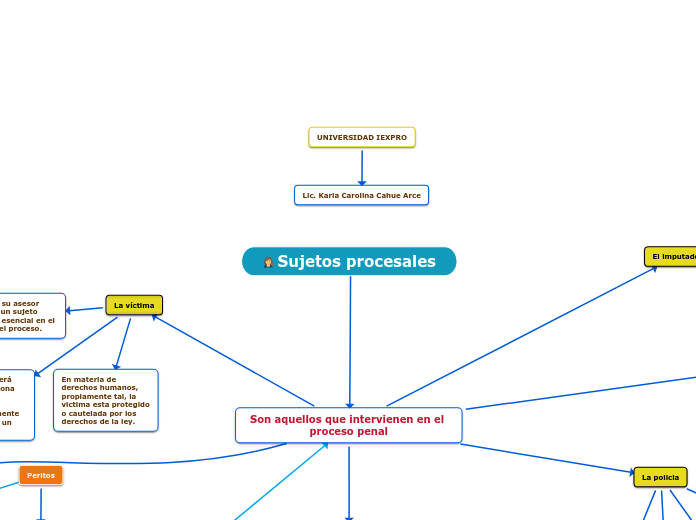 Esquema Conceptual Los Sujetos Procesales Con Sus Principales Atribuc