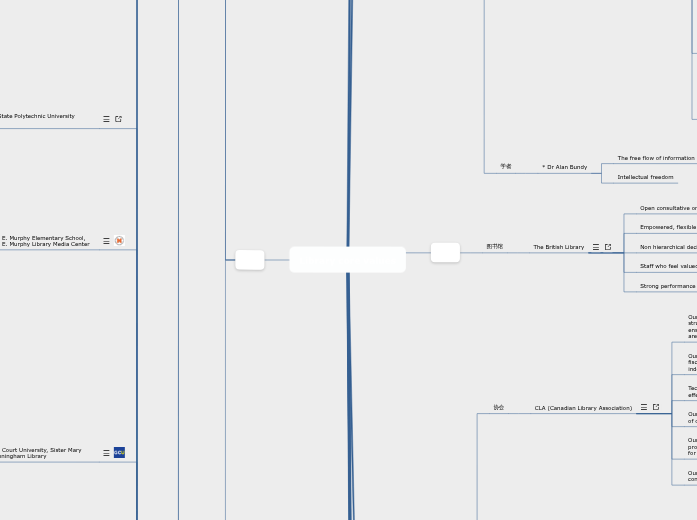 Lib Core Values - Mind Map