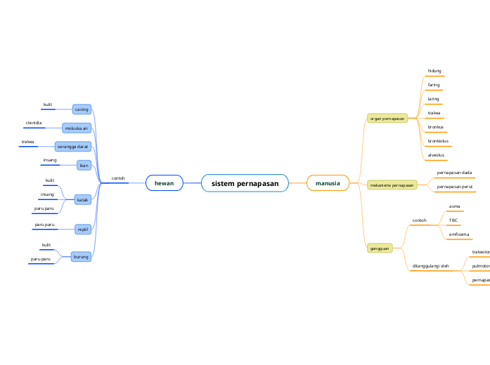 sistem pernapasan - Mind Map