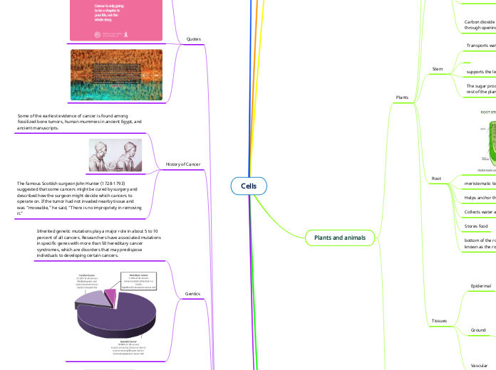 Cells - Mind Map