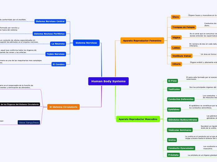 Human Body Systems - Mind Map