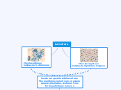 La Cellule - Mind Map