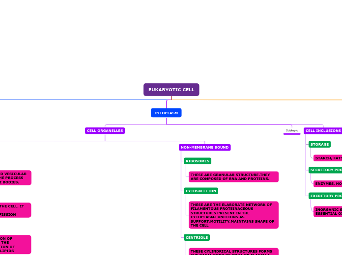 EUKARYOTIC CELL - Mind Map