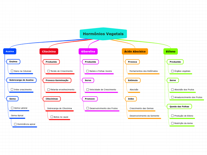 Las Hormonas Vegetales Mind Map Porn Sex Picture