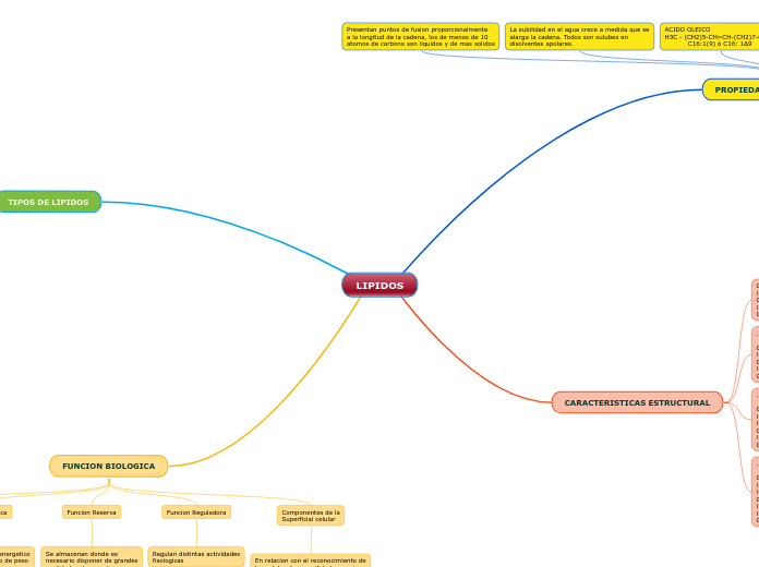 LIPIDOS - Mind Map