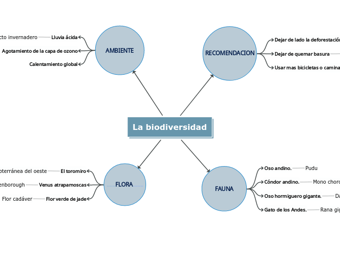 La biodiversidad - Mind Map