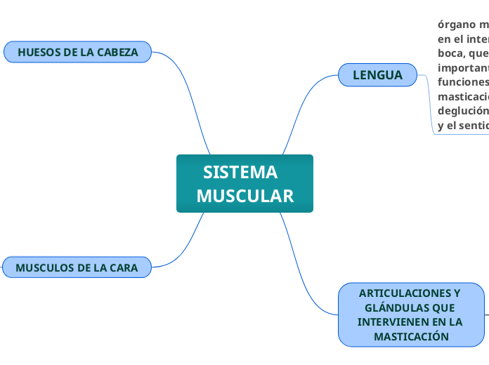 SISTEMA MUSCULAR - Mind Map