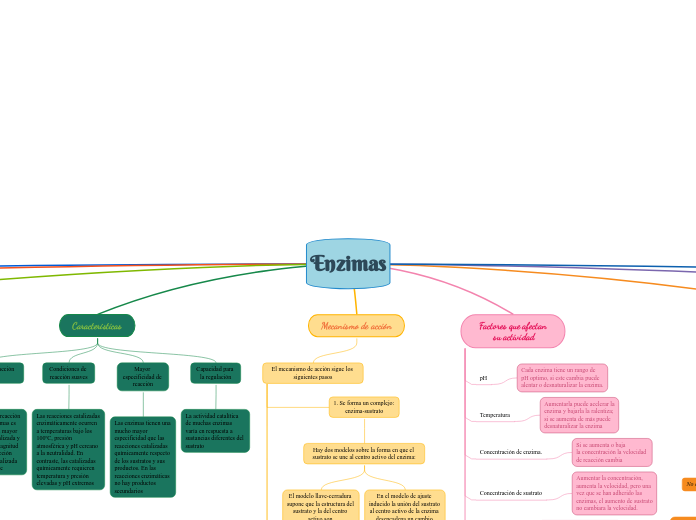Enzimas - Mind Map
