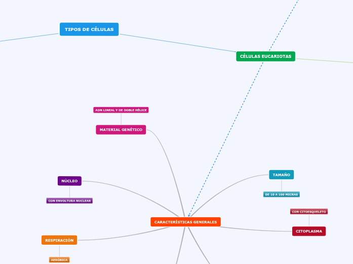 Célula procariota y eucariota - Mind Map
