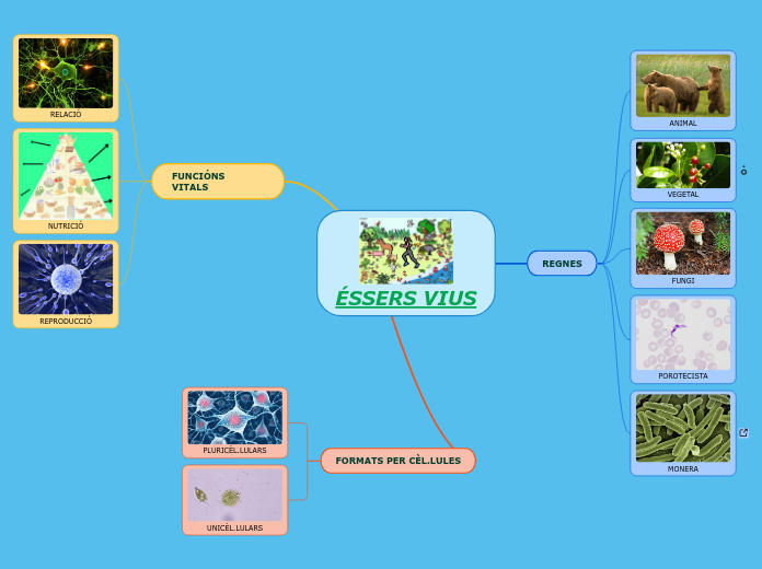 ÉSSERS VIUS - Mind Map