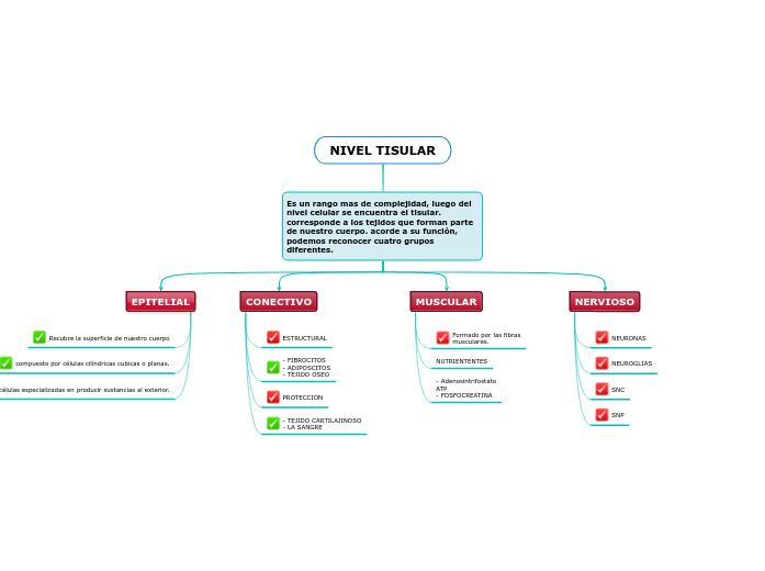 NIVEL TISULAR - Mind Map