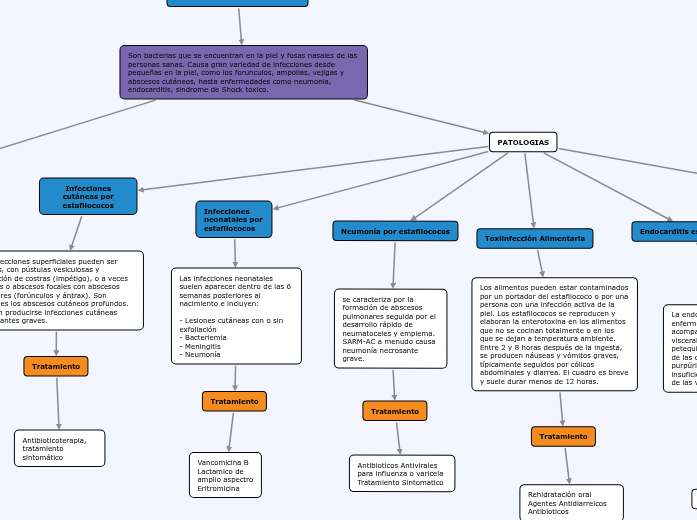 Staphylococcus Aureus Mapa Conceptual - Diary Bersama