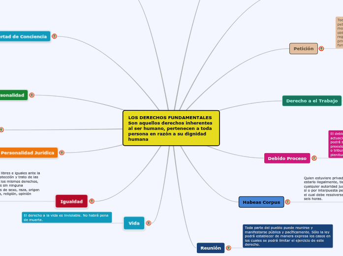 derechos fundamentales - Mind Map