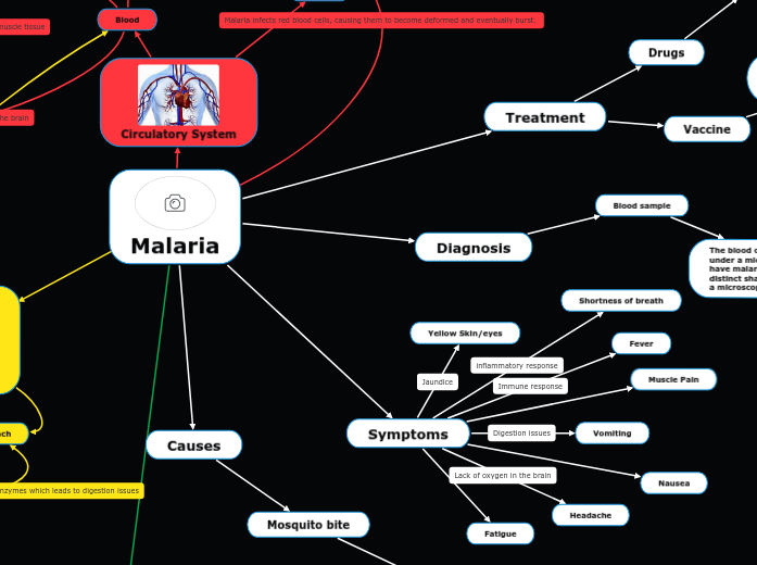 Malaria - Mind Map