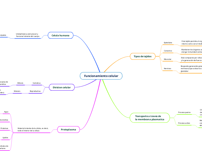 Funcionamiento celular - Mind Map