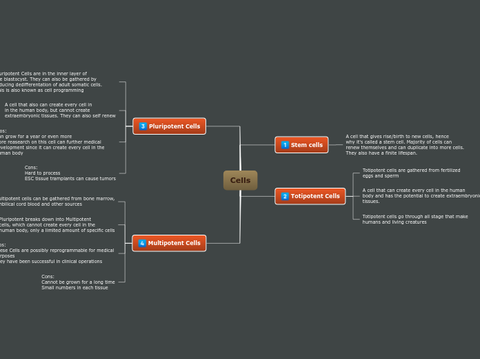 Organigram - Mind Map