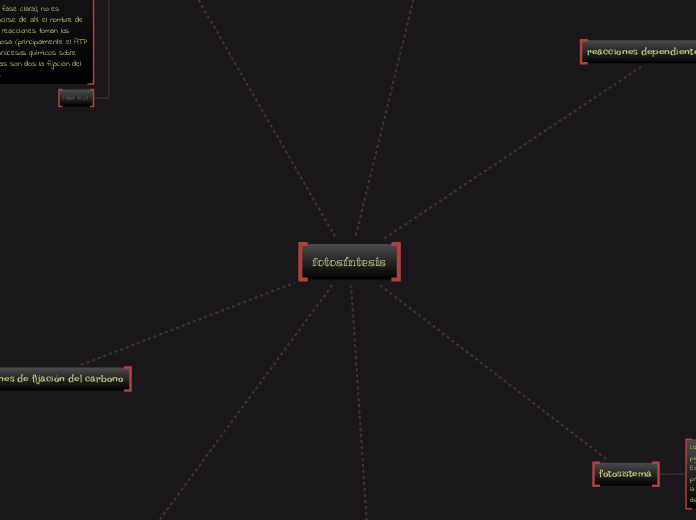 fotosíntesis - Mind Map
