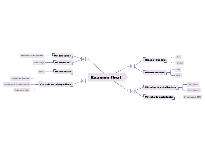 Examen final - Mind Map