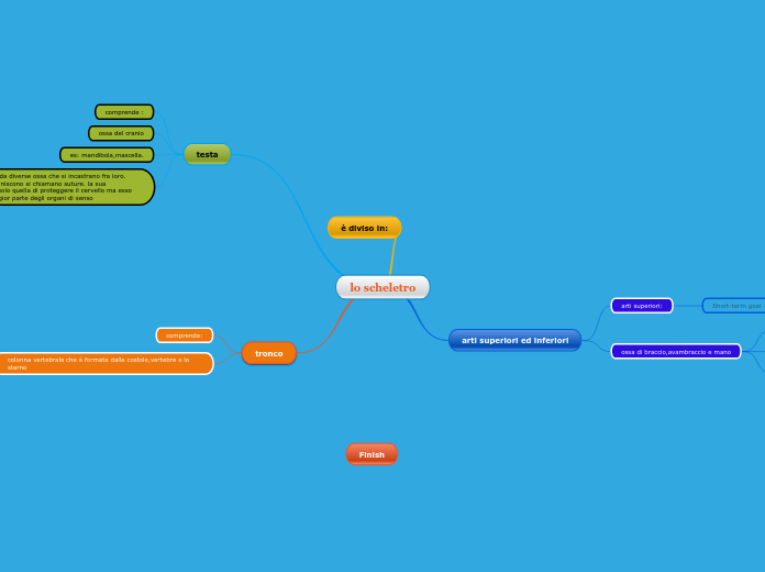 lo scheletro - Mind Map