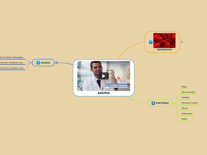 ANEMIA - Mind Map