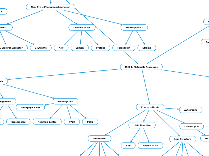 Unit 2: Metabolic Processes - Mind Map