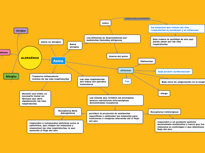 ANAFILAXIA - Concept Map