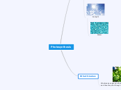 Photosynthesis - Mind Map