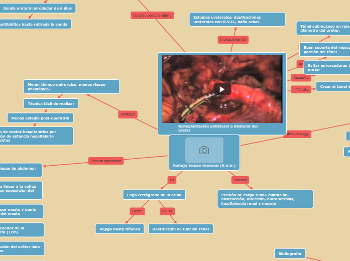 xime.guti.lo@gmail.com - Mind Map