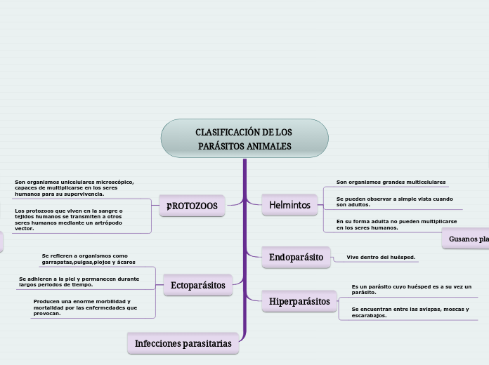CLASIFICACIÓN DE LOS PARÁSITOS ANIMALES - Mind Map