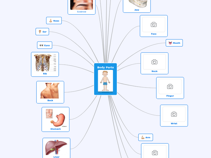 Body Parts - Mind Map