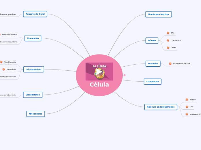 Célula - Mapa Mental - Amostra