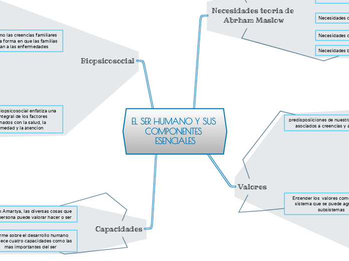 Mapa Mental El Ser Humano Y Sus Componentes Escenciales El Ser Humano