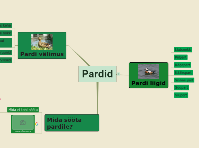 Pardid - Mind Map