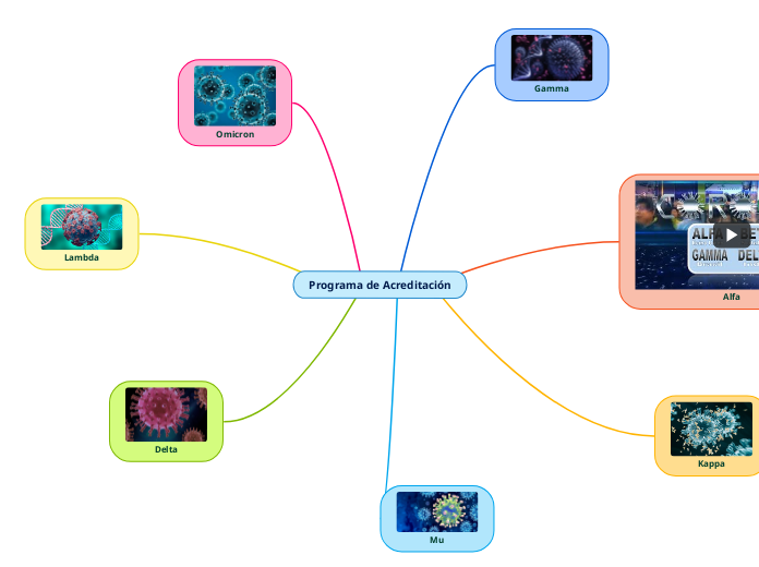 Programa de Acreditación - Mind Map