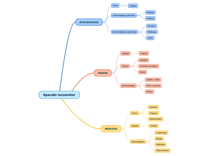 Aparato locomotor - Mind Map