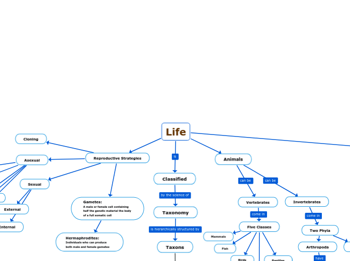 Life - Mind Map